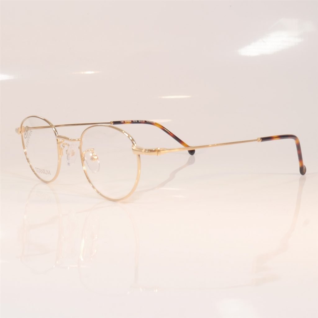 Stepper Titanium SI4506 - Faversham Optical